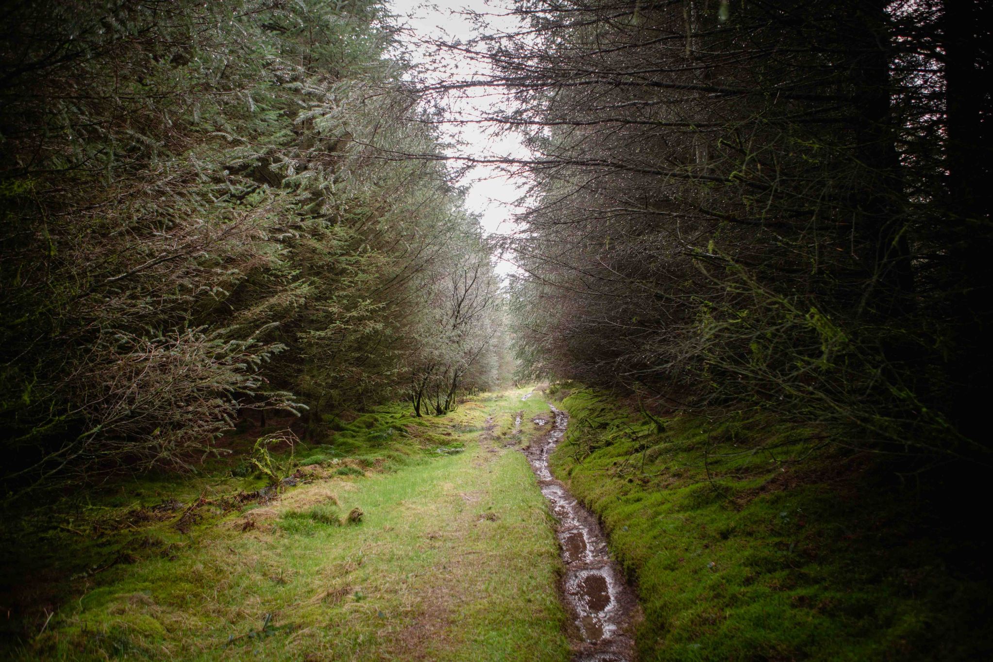 The Trans Cambrian Way: Off-Road Wales (01/04/24-03/04/24) – JKB's Bike ...