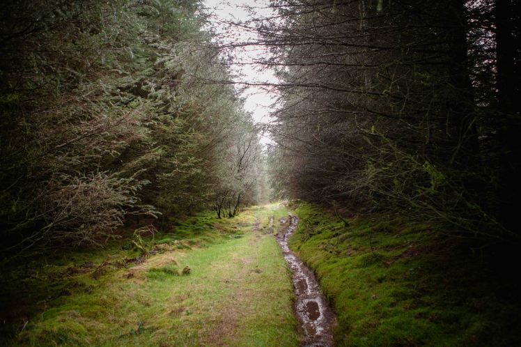 The Trans Cambrian Way: Off-Road Wales (01/04/24-03/04/24) – JKB's Bike ...